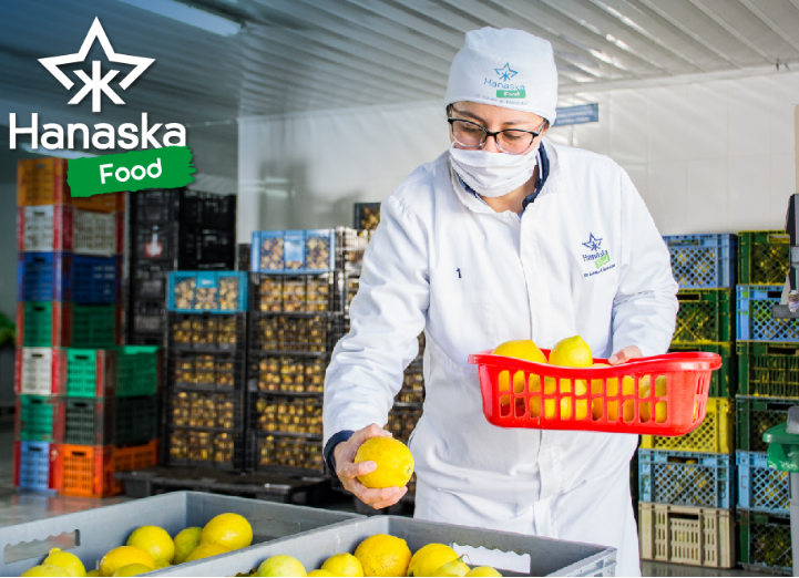 Únete A Hanaska: Oportunidades Laborales En El Sector Tecnológico ...